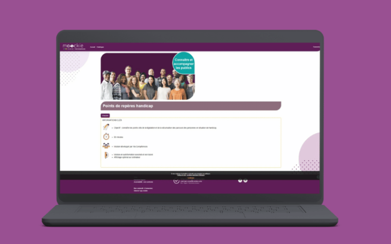 Le module Moockie : Points de repères sur le Handicap fait peau neuve ...